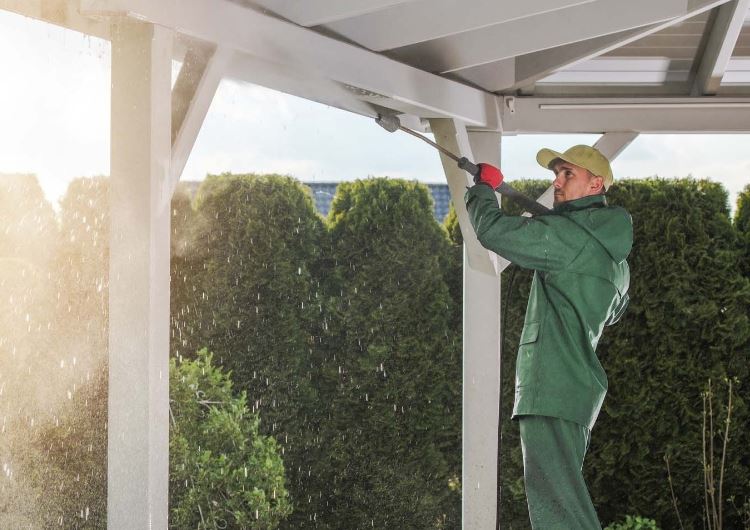 Providence Rodent Control | Guardian Pest Control