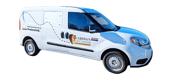 Contact Us | Guardian Pest Control