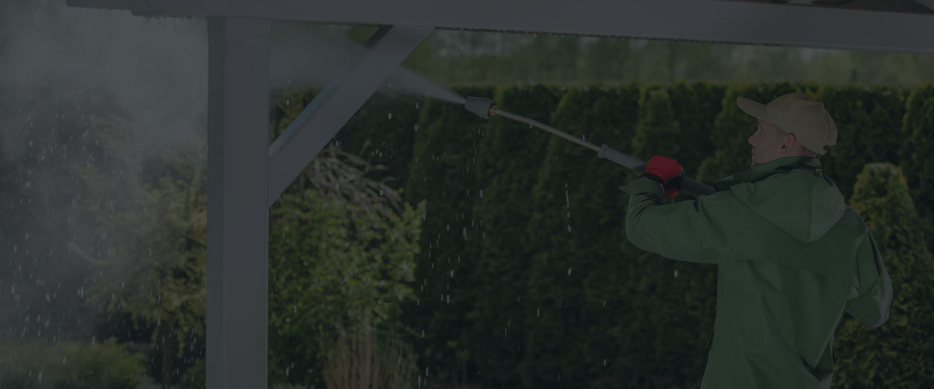 Pest Control in Providence, RI | Guardian Pest Control