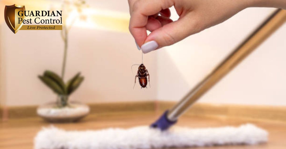 Why Preventive Pest Control Matters Before Winter Hits