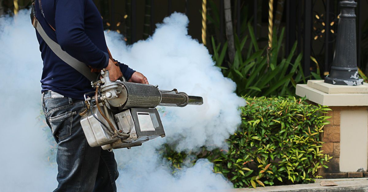 What Is Fumigation and How Does It Take Care of Insects?